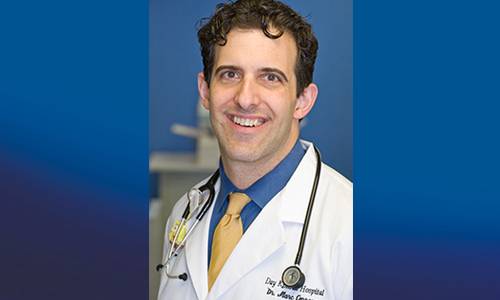 Dr. Marc Cerrone Voted Best Pediatrician in Northeast CT for Second Year