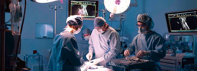 Orthopedic Spine Surgeons Near Me CT Spine Specialists orthopedic-spine-surgeons-near-me-ct-spine-specialists
